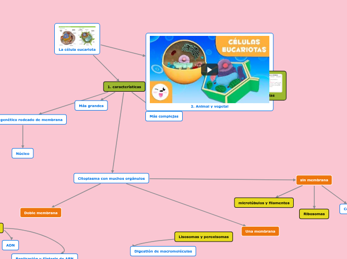 La célula eucariota - Mind Map